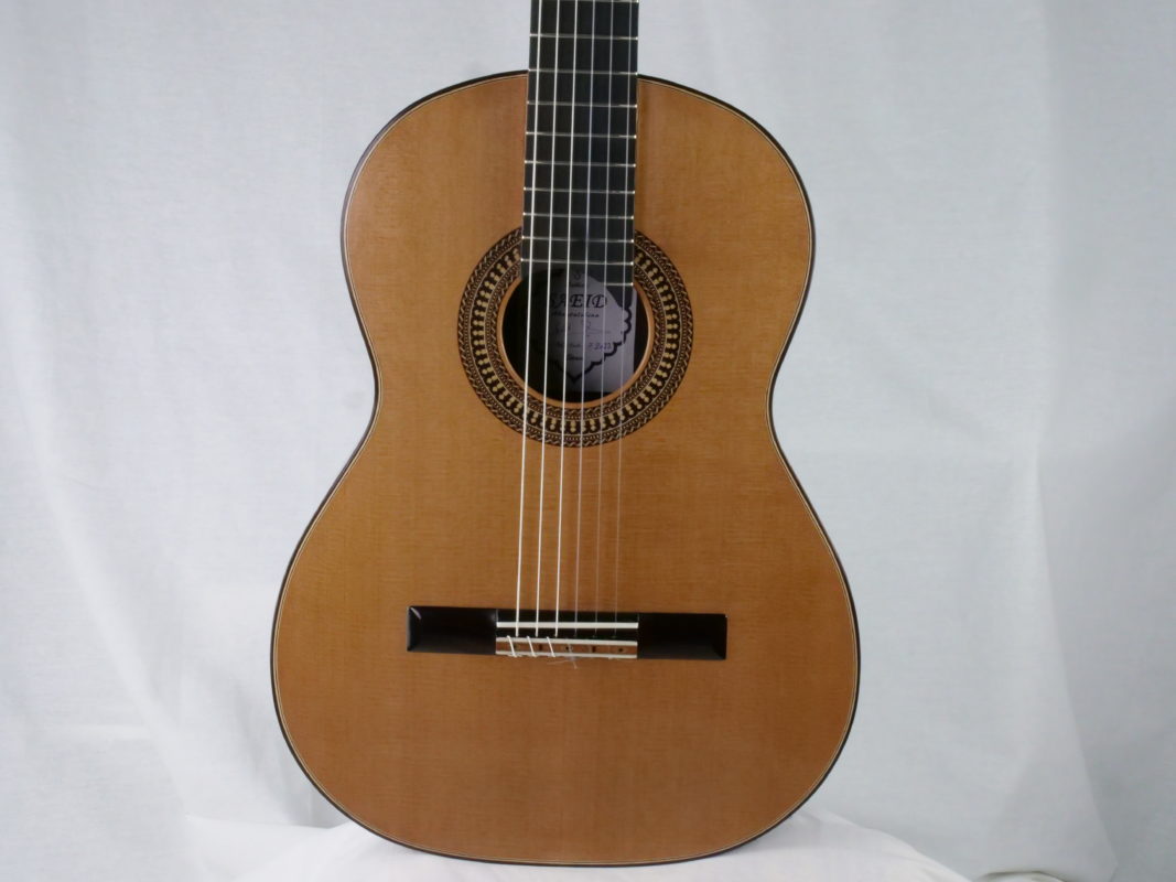 Saeid Aboutalebian doubletop 2022- Spain – Classical concert guitar